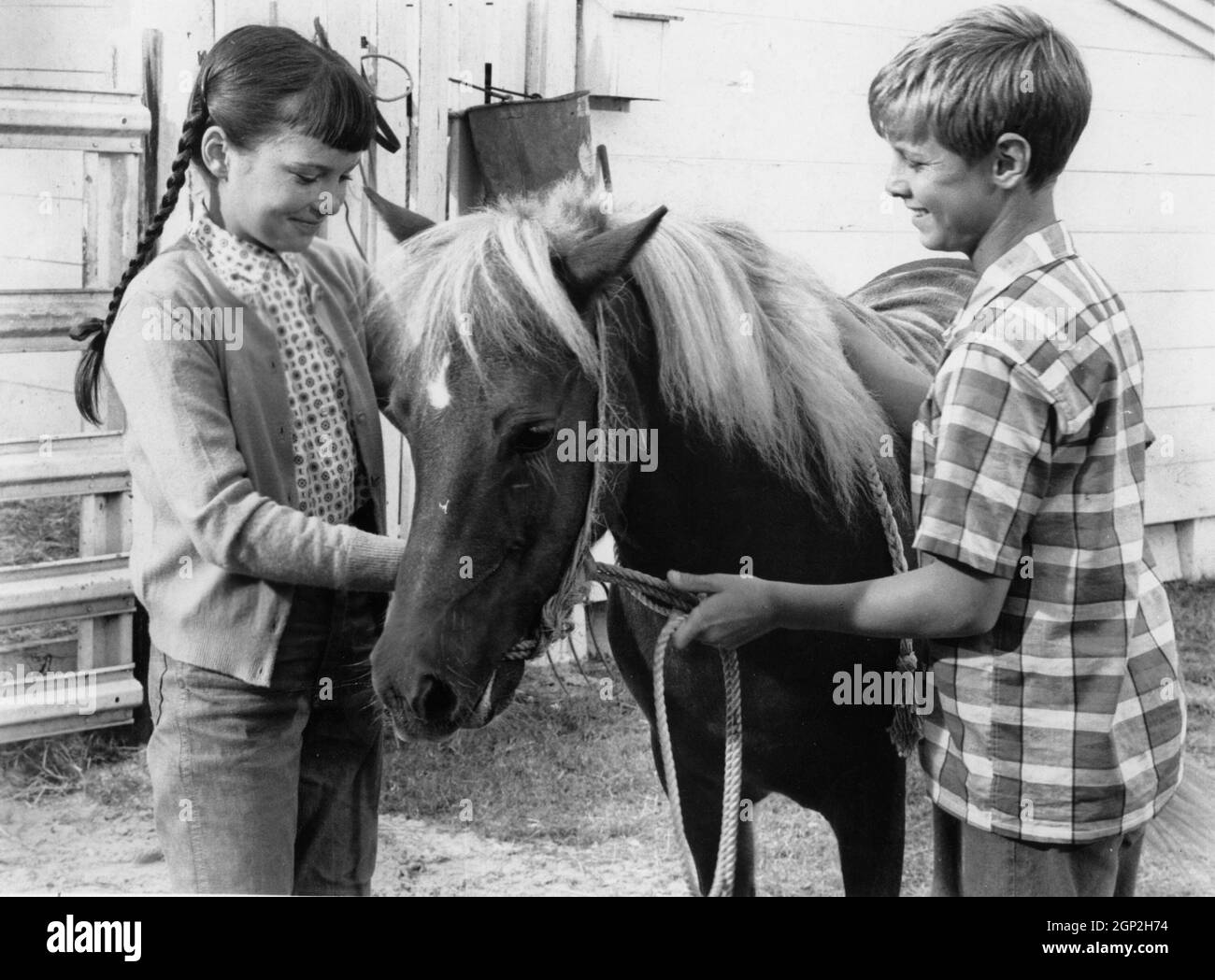 MISTY, from left: Pam Smith, David Ladd, 1961. © 20th Century Fox ...