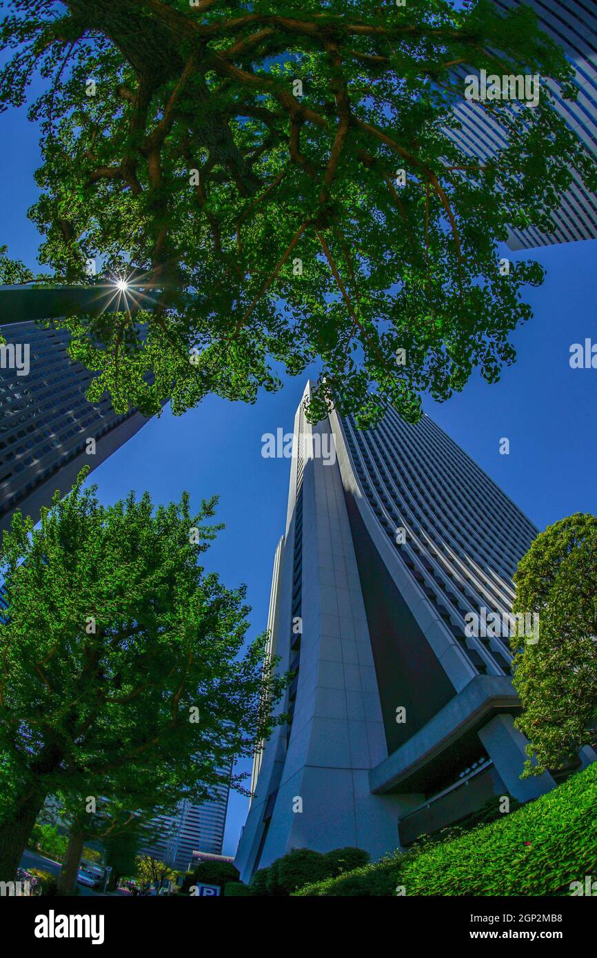 New cocoon building hi-res stock photography and images - Alamy