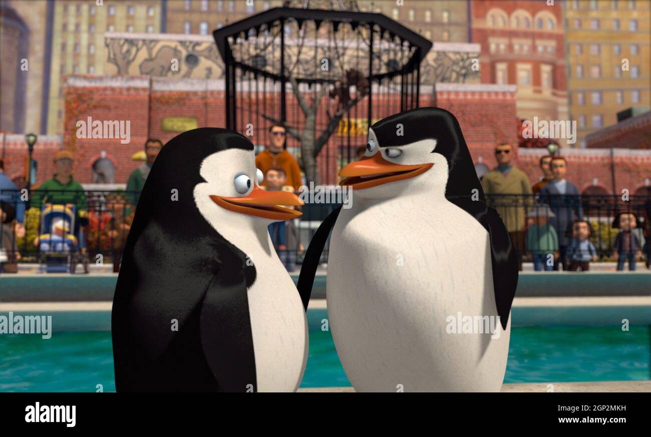 MADAGASCAR, The head Penguin, Skipper (TOM McGRATH), tells the Private (CHRIS KNIGHTS) his ...