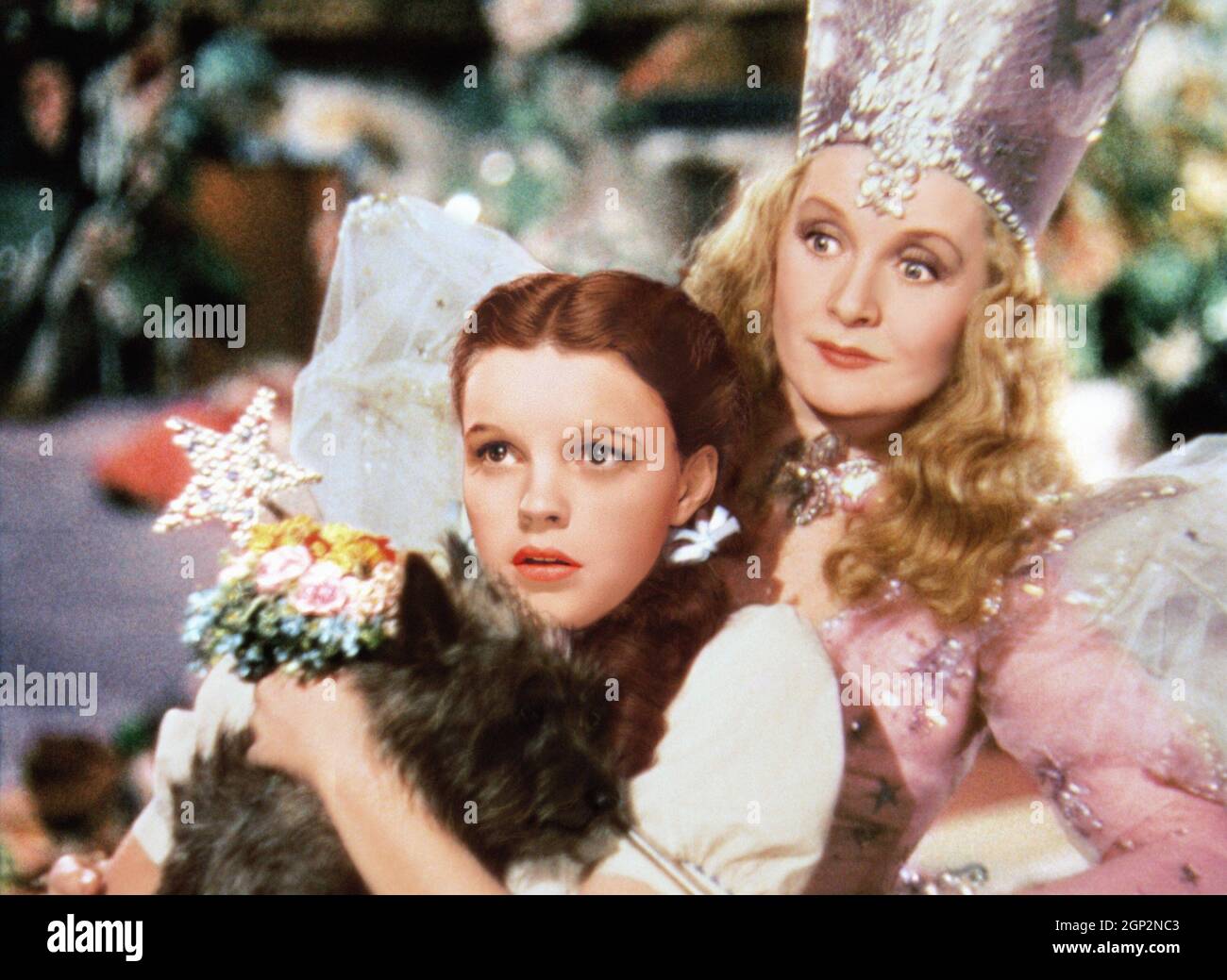 THE WIZARD OF OZ, from left: Terry as 'Toto', Judy Garland as 'Dorothy ...