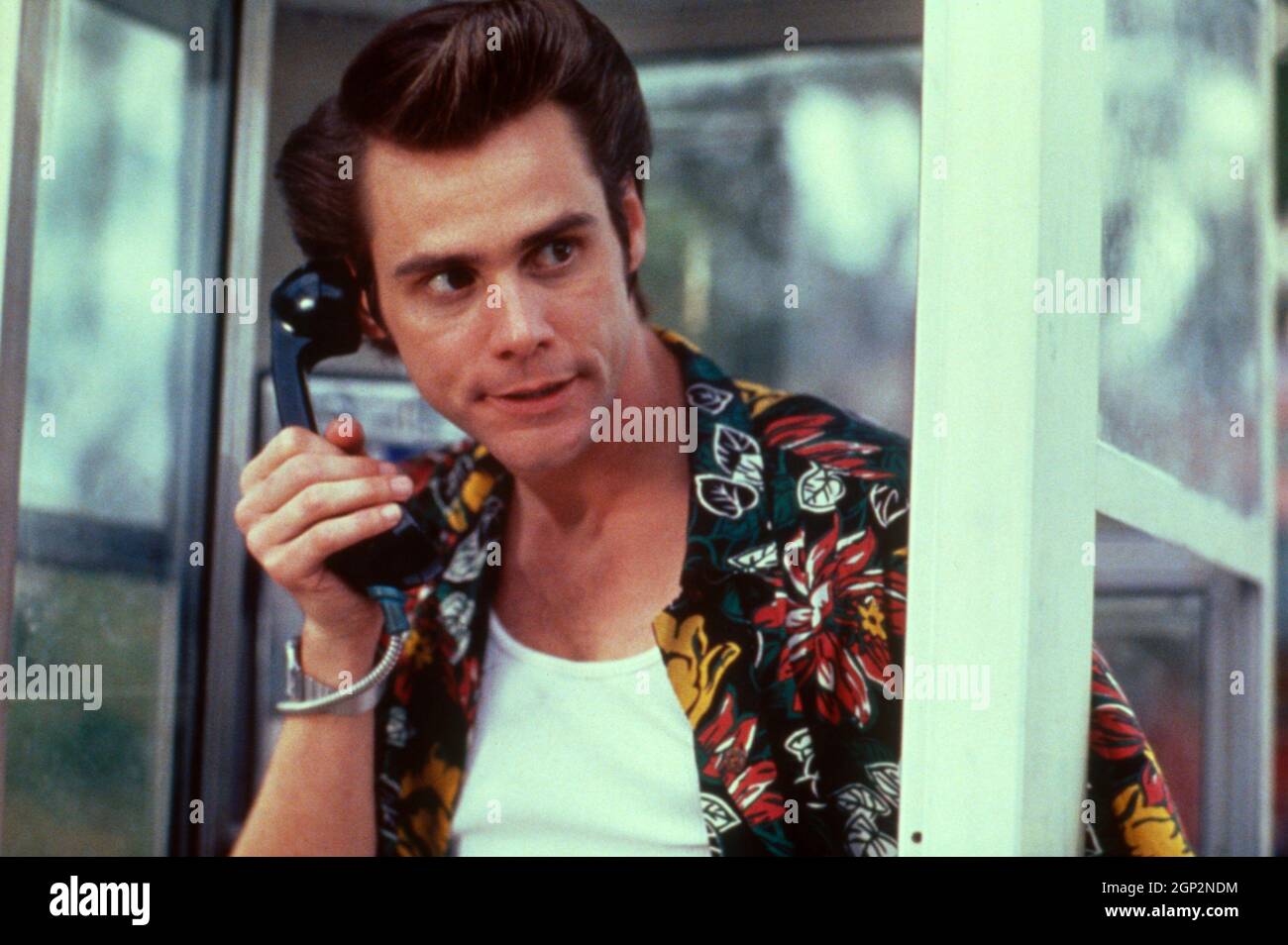 ACE VENTURA: PET DETECTIVE, Jim Carrey, 1994. © Warner Bros. / Courtesy ...