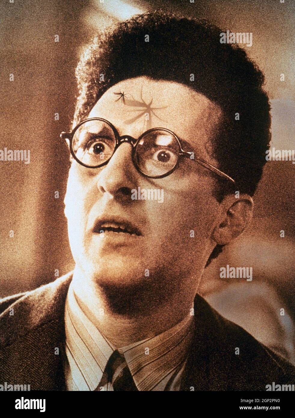 Fink art hi-res stock photography and images - Alamy