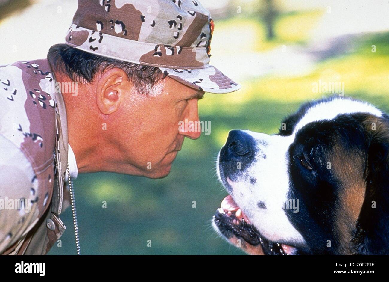 BEETHOVEN'S 4TH, Art LaFleur, Beethoven the Dog, 2001. © Universal ...