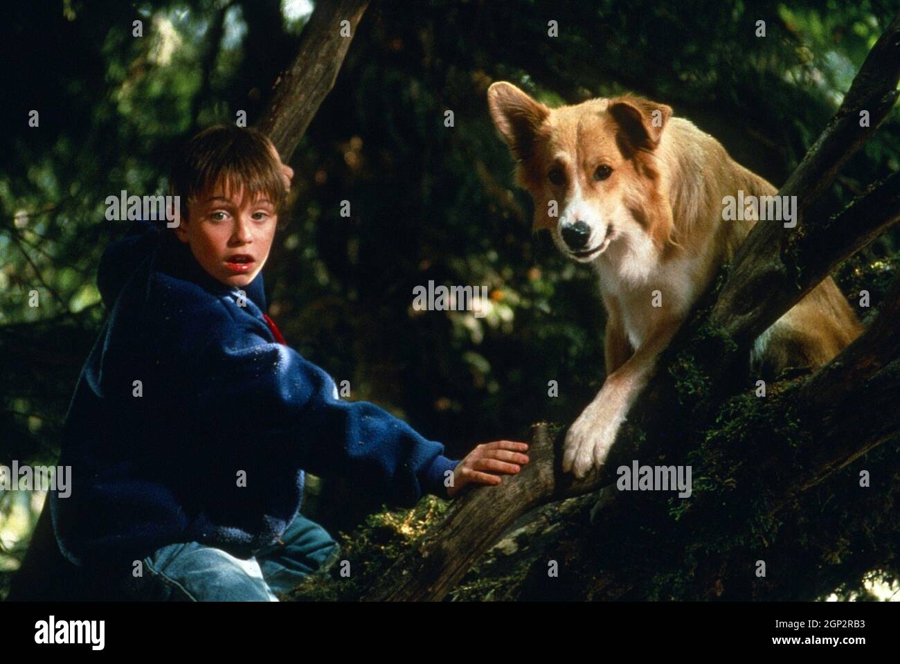 BINGO, Robert J. Steinmiller Jr., 1991. © TriStar Pictures /courtesy ...