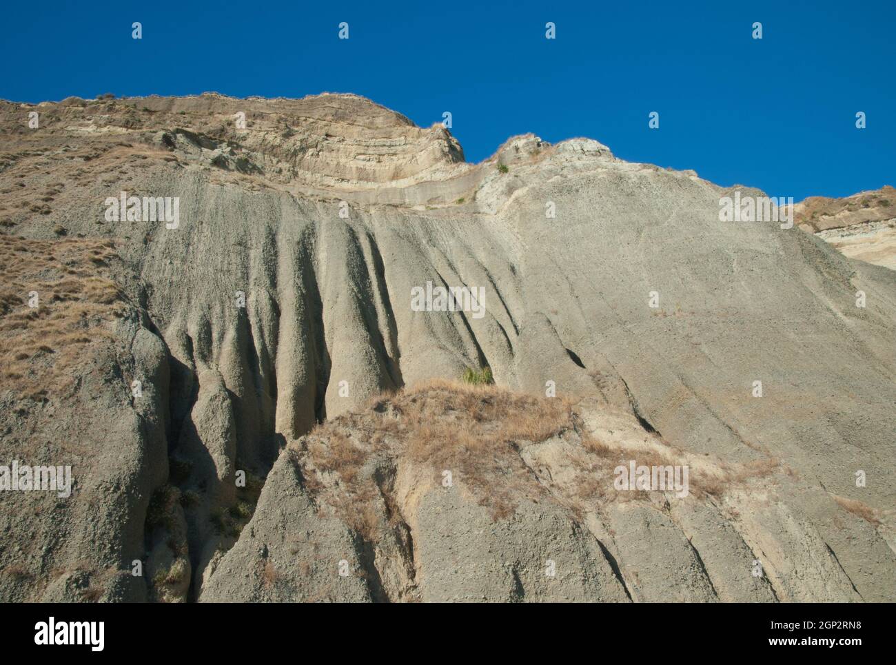 Sea cliff in the Cape Kidnappers Gannet Reserve. North Island. New ...