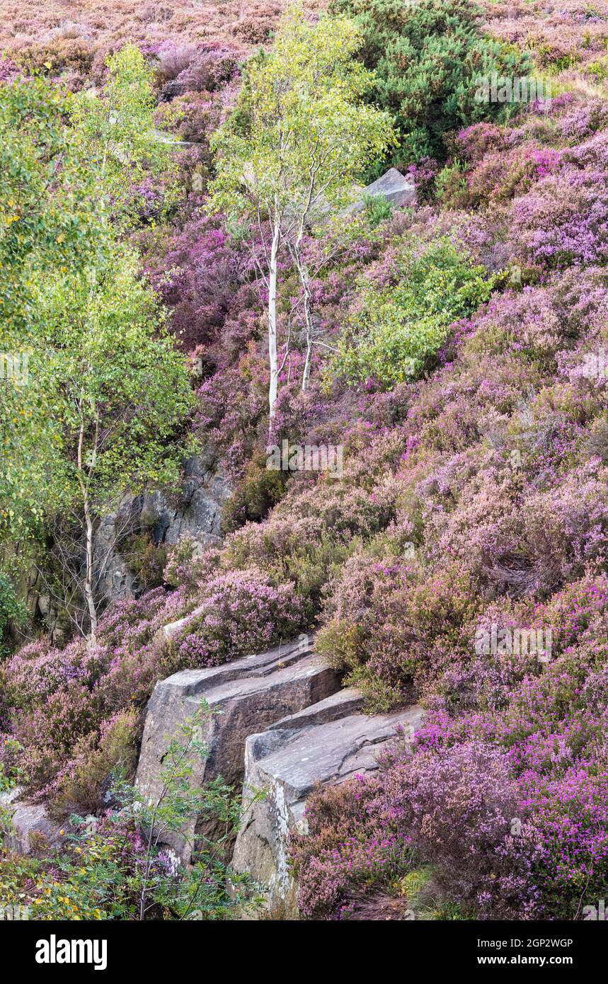 Millstone Edge, Peak District National Park, Derbyshire, England Stock ...