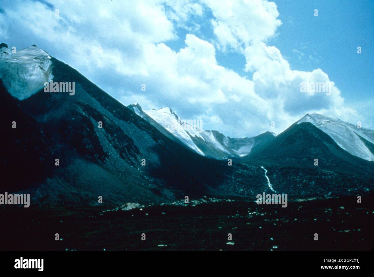 CROUCHING TIGER HIDDEN DRAGON, (aka WO HU CANG LONG), 2000. © Sony ...