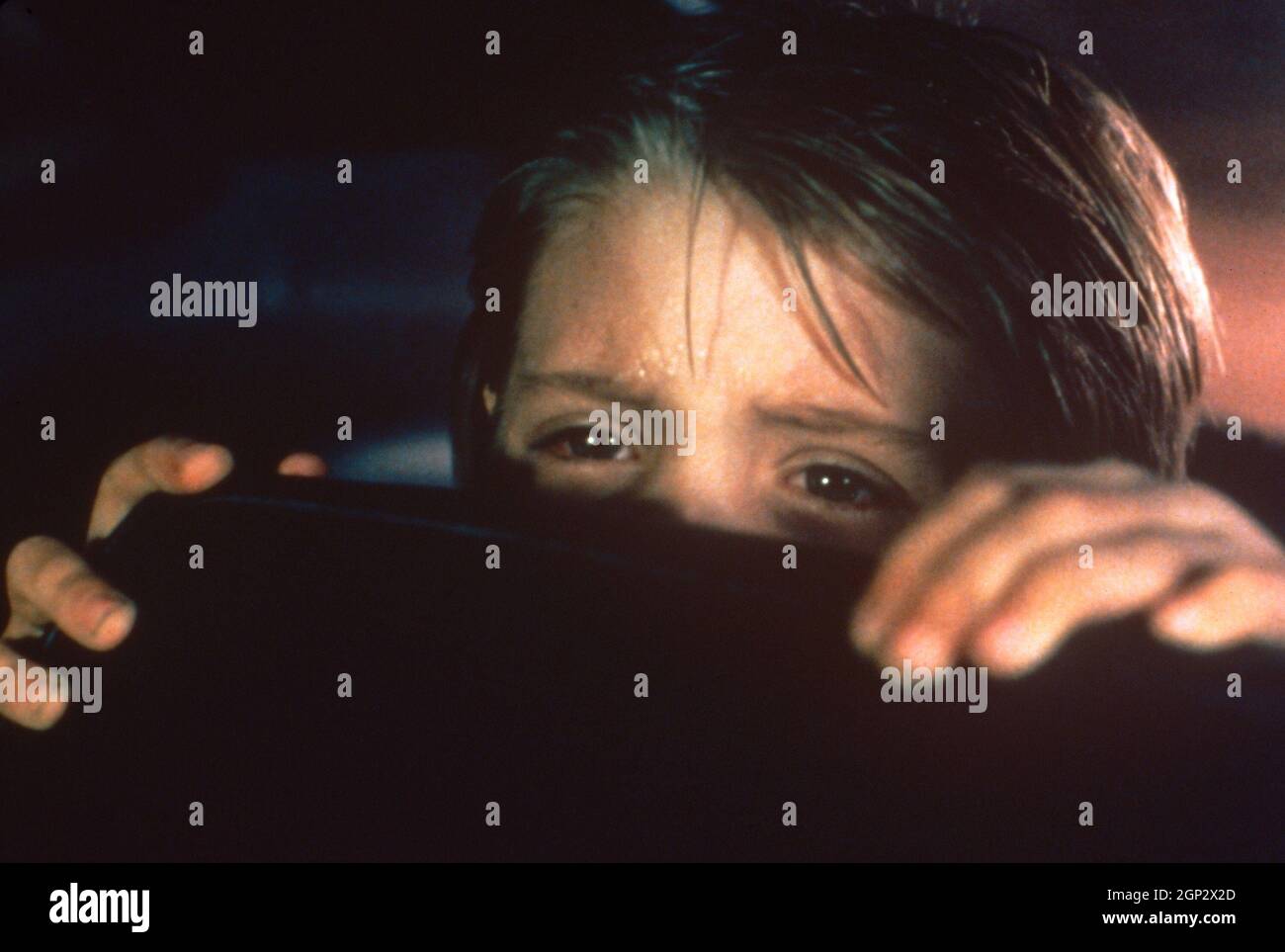 CUJO, Danny Pintauro, 1983. © Warner Bros. / courtesy Everett ...