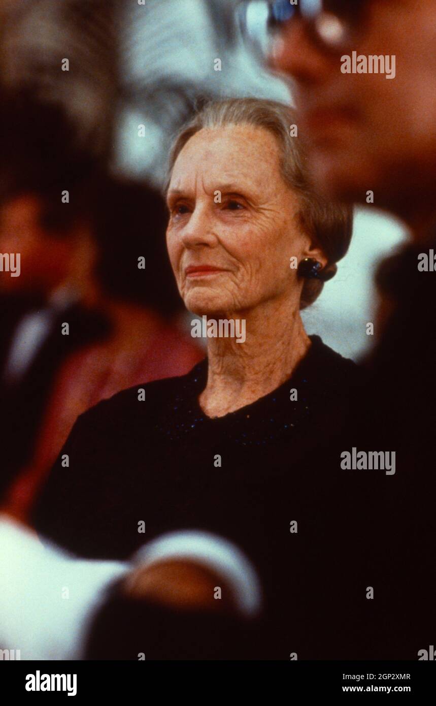 DRIVING MISS DAISY, Jessica Tandy, 1989. © Warner Bros / courtesy ...