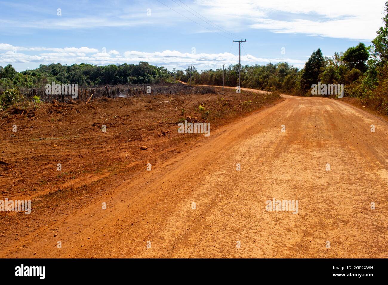 new road construction in the jungle. deforestation in favor of ...