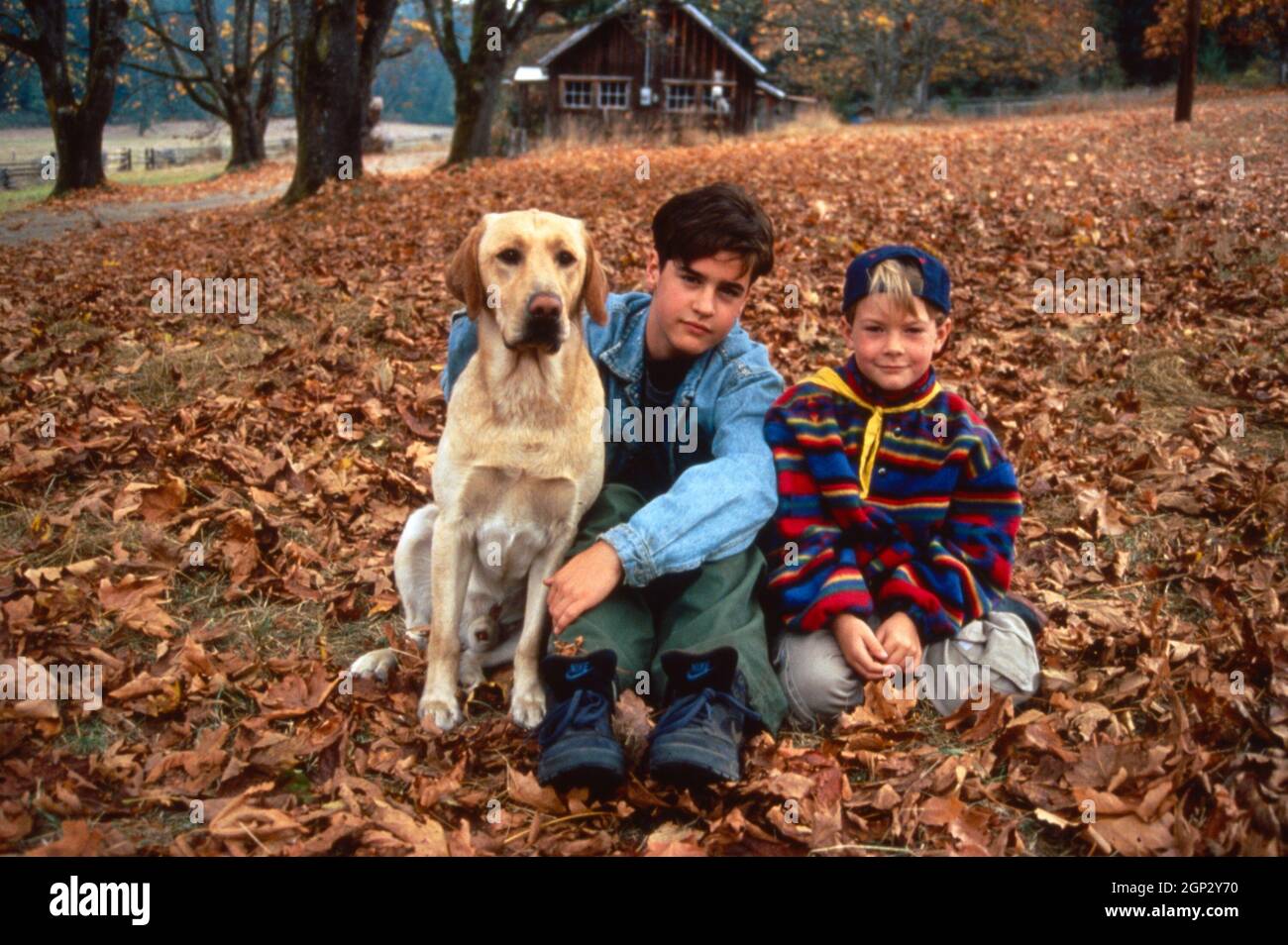 FAR FROM HOME: The Adventures of Yellow Dog, from left: Jesse Bradford ...