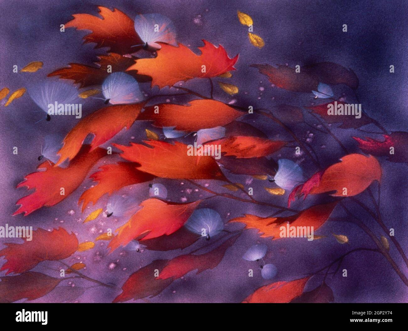 Fantasia Disney Fish