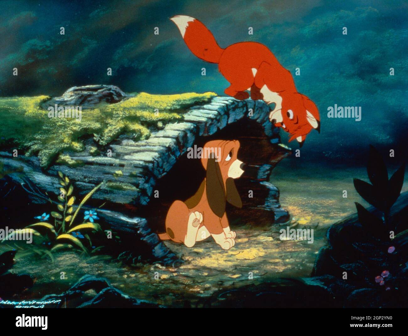 The Fox And The Hound Copper Tod 1981 © Walt Disney Pictures Courtesy Everett Collection