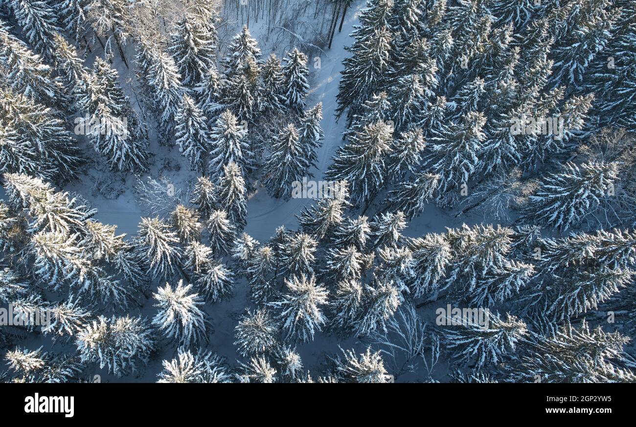 Aerial top view snowy pine hi-res stock photography and images - Alamy