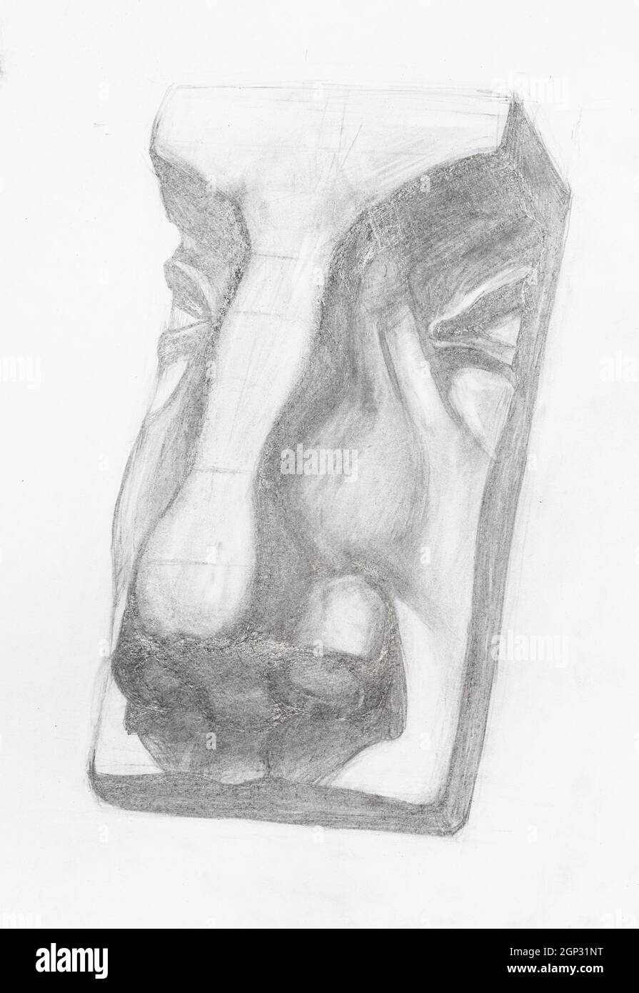 academic drawing - separate male nose, plaster cast fragment of David's ...