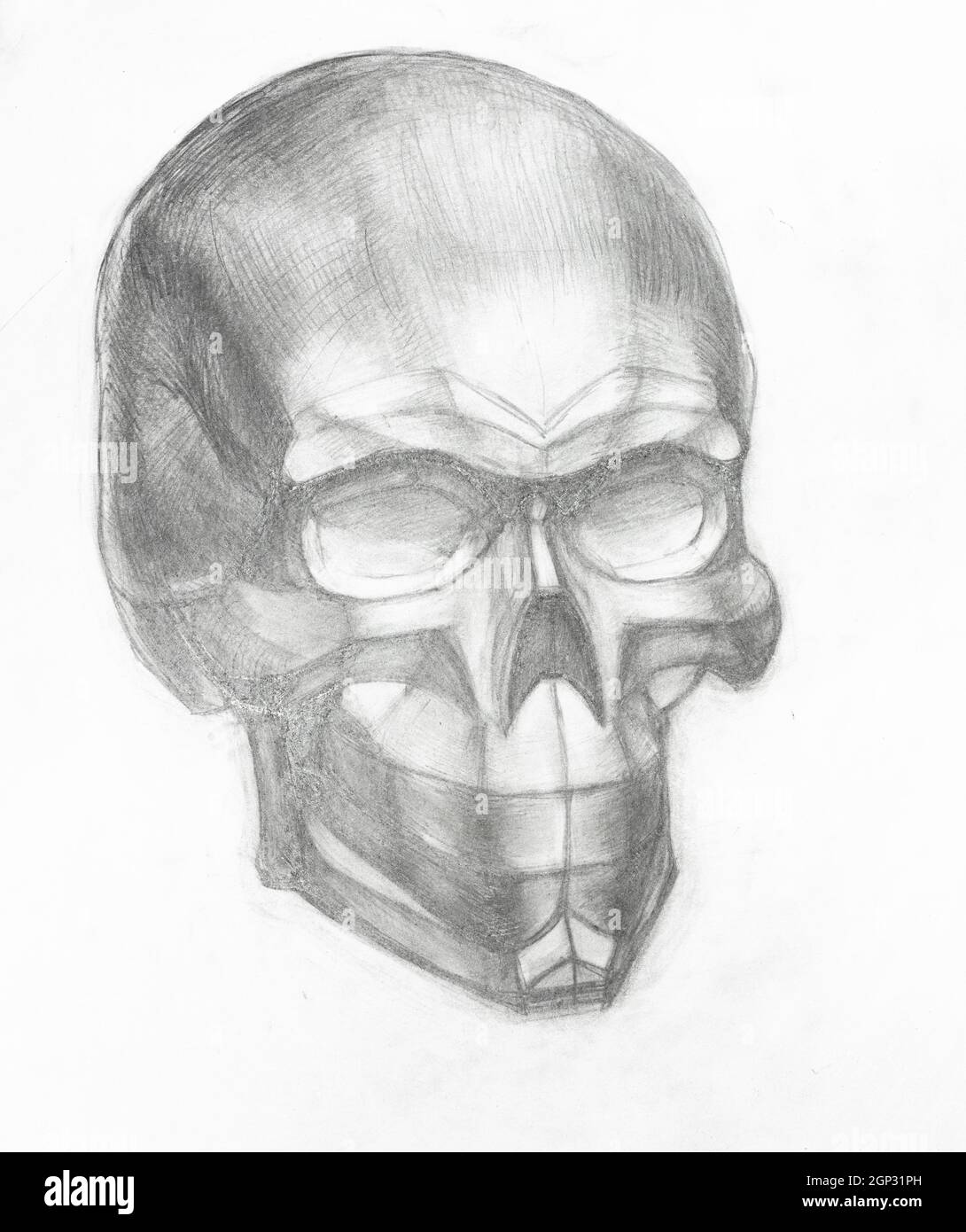 academic drawing - plaster cast of human skull hand-drawn by graphite ...