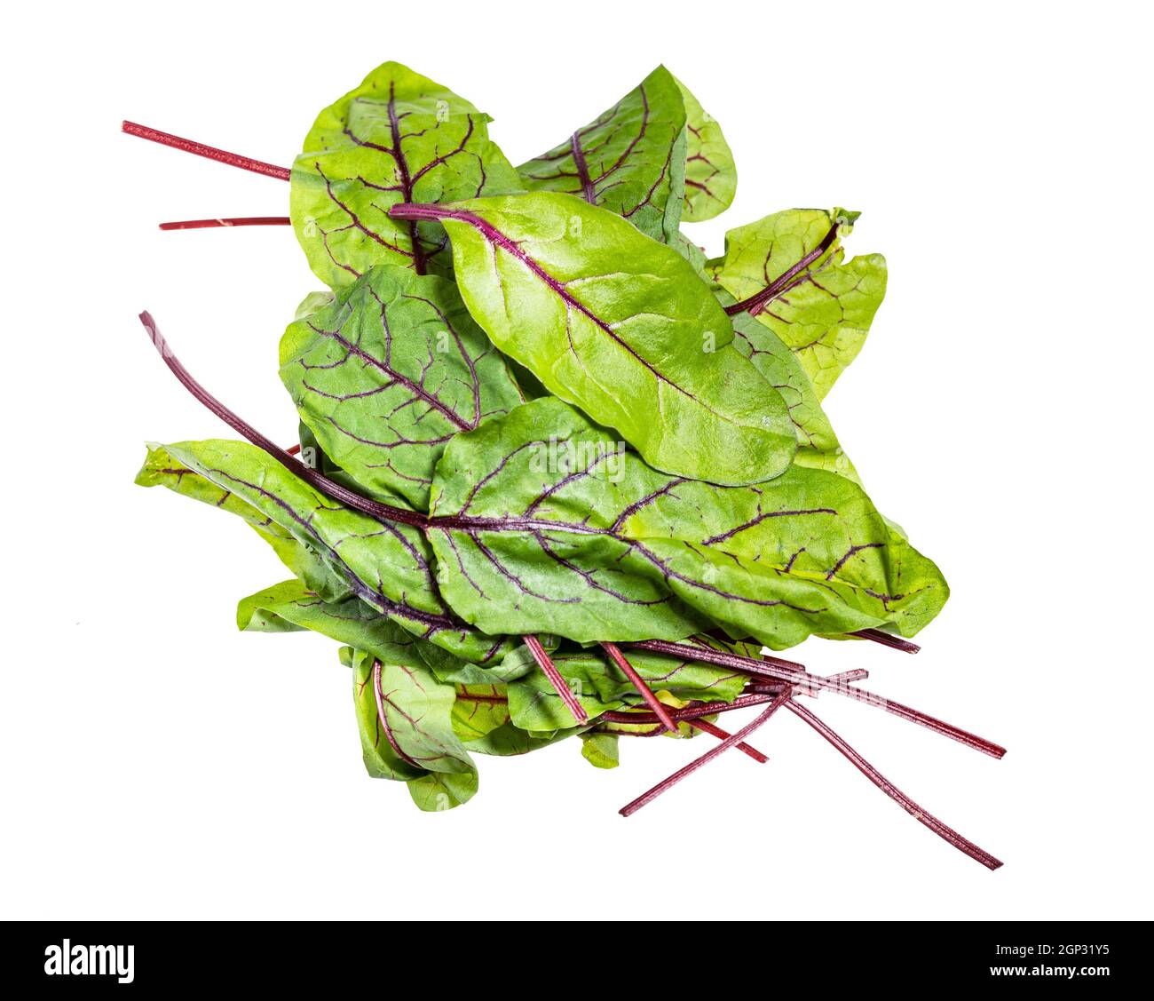 heap of fresh leaves of green Chard leafy vegetable (mangold, beet tops ...