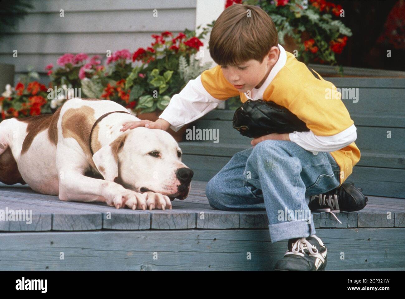 Homeward Bound 2 Chance And Delilah