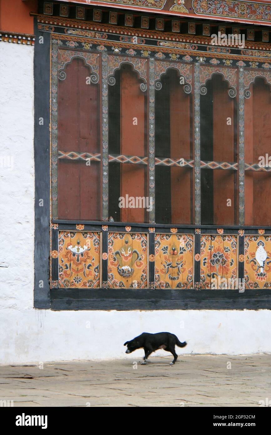 Bhutanese dog hi-res stock photography and images - Alamy