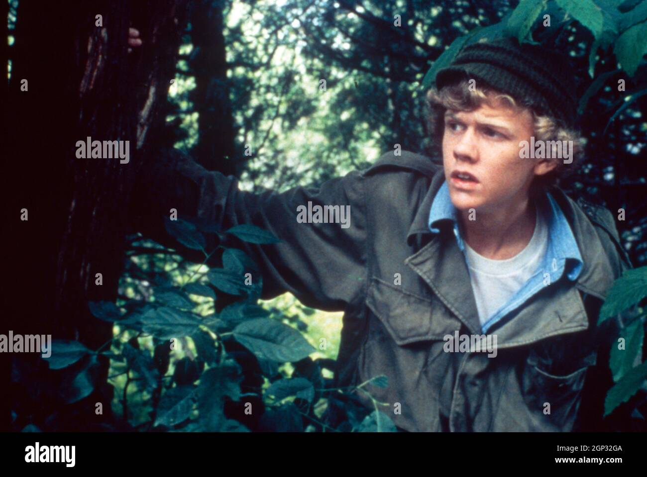 I AM THE CHEESE, Robert MacNaughton, 1983. © Almi Pictures / Courtesy ...