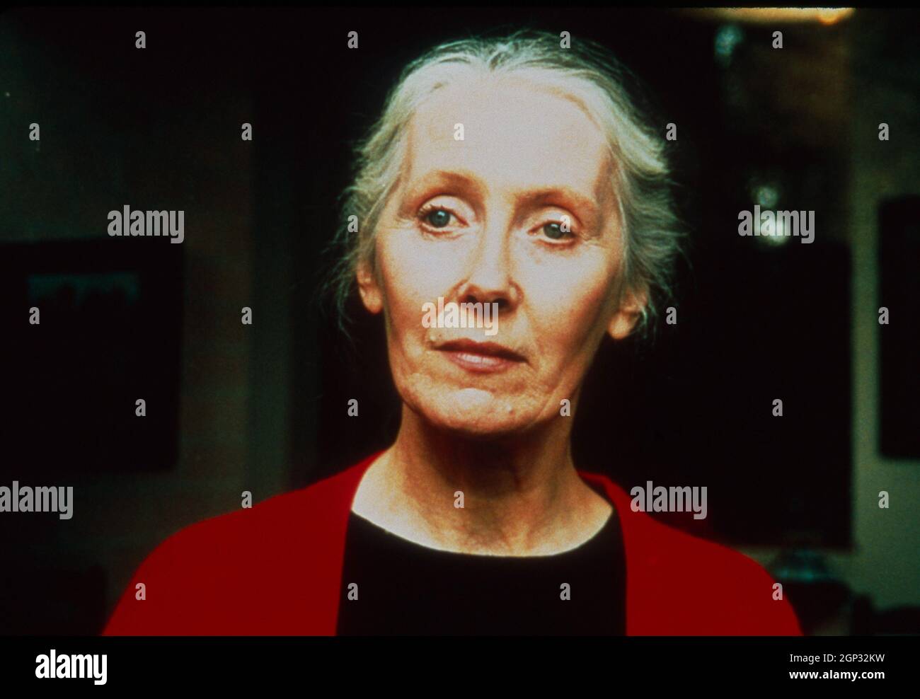 INNOCENCE, Julia Blake, 2000. © IDP Distribution / courtesy Everett ...