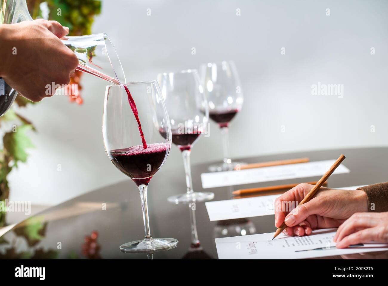 Close up of sommelier pouring red wine with decanter at wine tasting ...