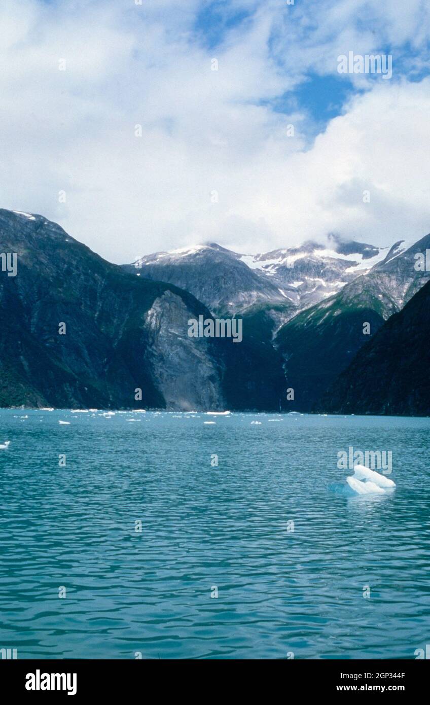 LIMBO, 1999. © Screen Gems / courtesy Everett Collection Stock Photo ...