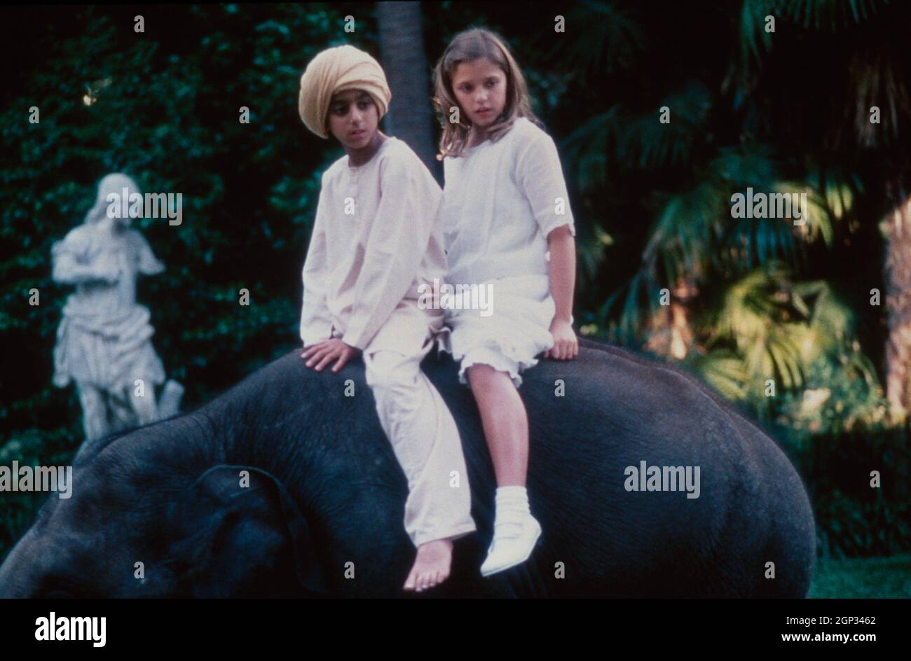 Liesel Matthews Today