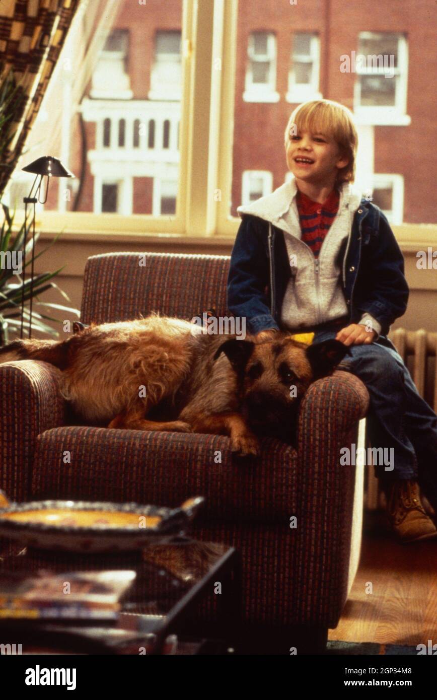 LOOK WHO'S TALKING NOW, from left: Rocks the dog, David Gallagher, 1993 ...