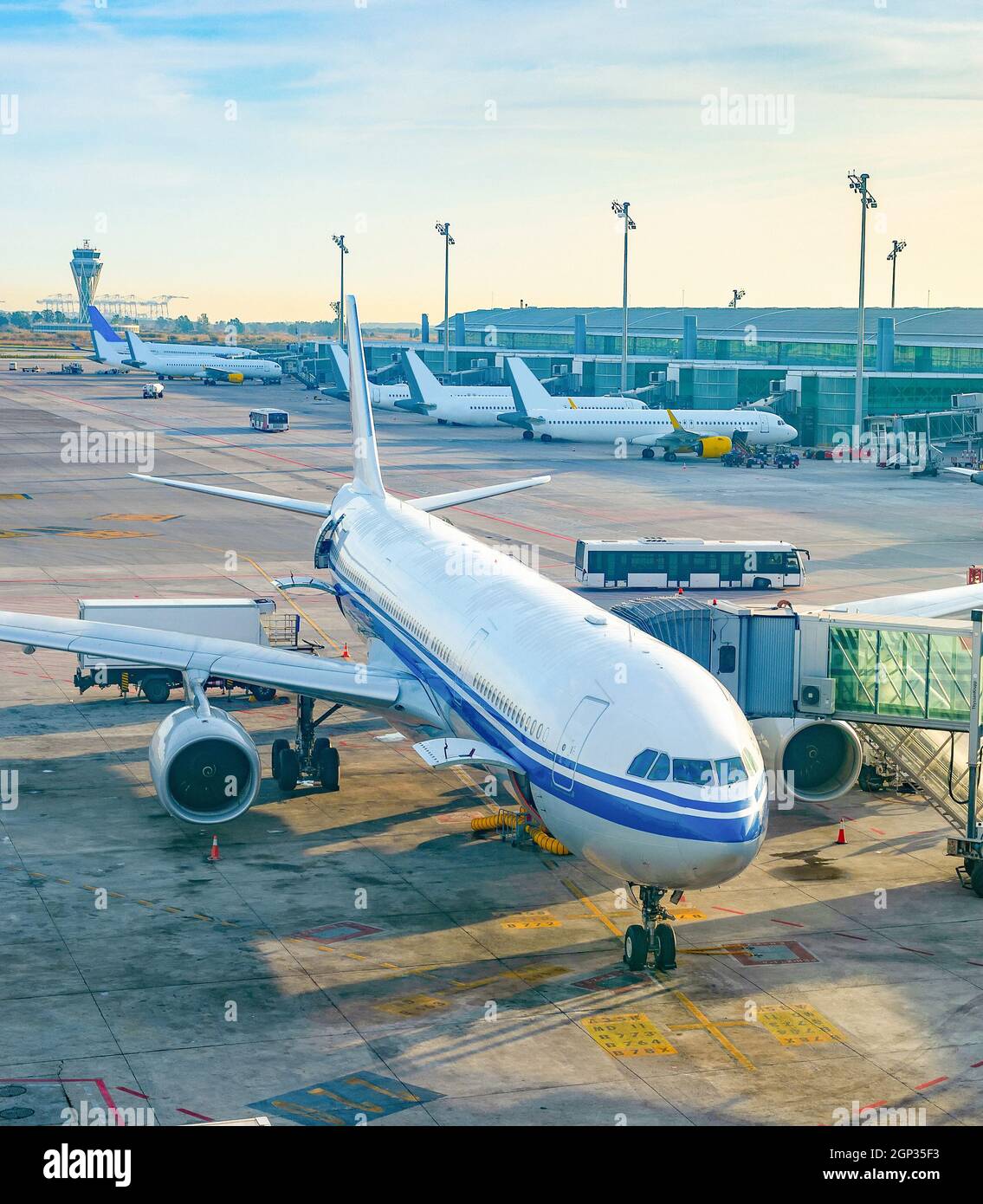 Glass jet bridge passage, airplanes by terminal in sunset light, buses ...