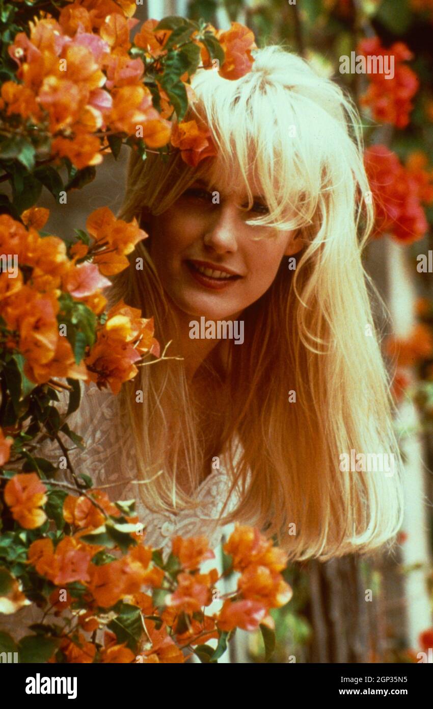 MEMOIRS OF AN INVISIBLE MAN, Daryl Hannah, 1992. © Warner Bros ...