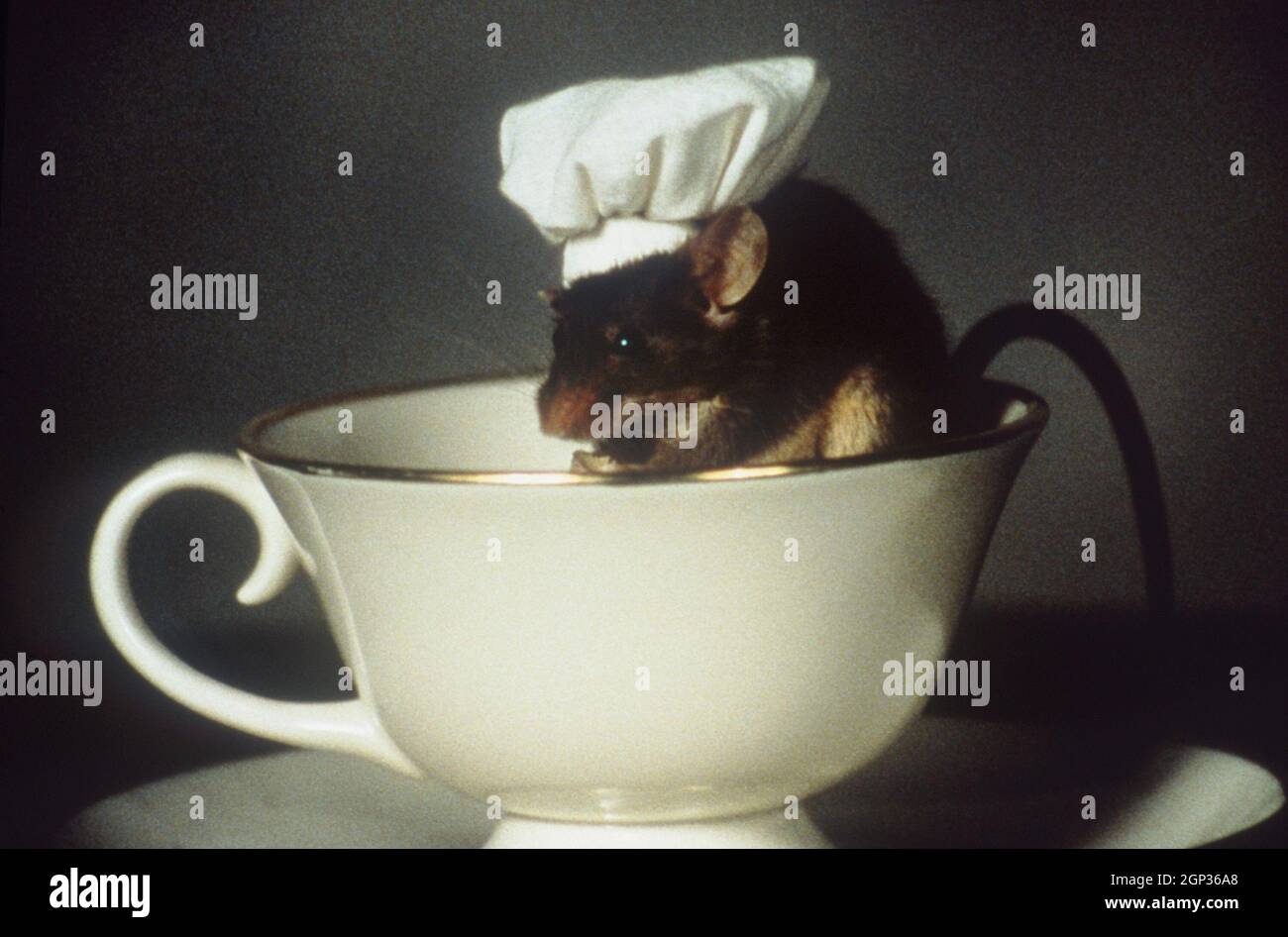 MOUSEHUNT, 1997. ©DreamWorks / Courtesy Everett Collection Stock Photo ...