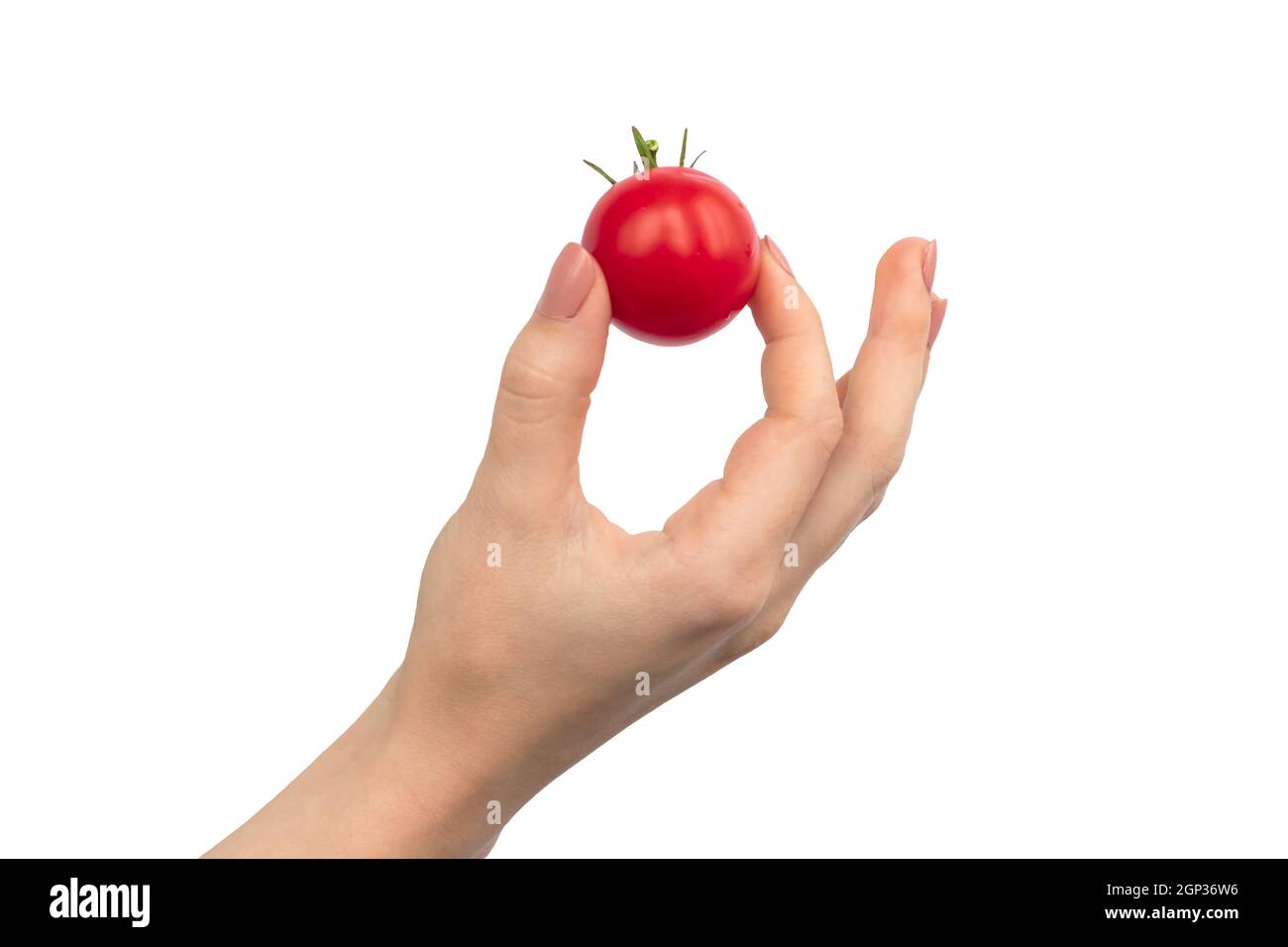 Fresh cherry tomatoes in hand isolated on a white background Stock ...