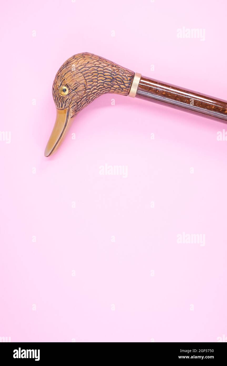 Closeup of a duck-headed wooden cane isolated on a pink background ...