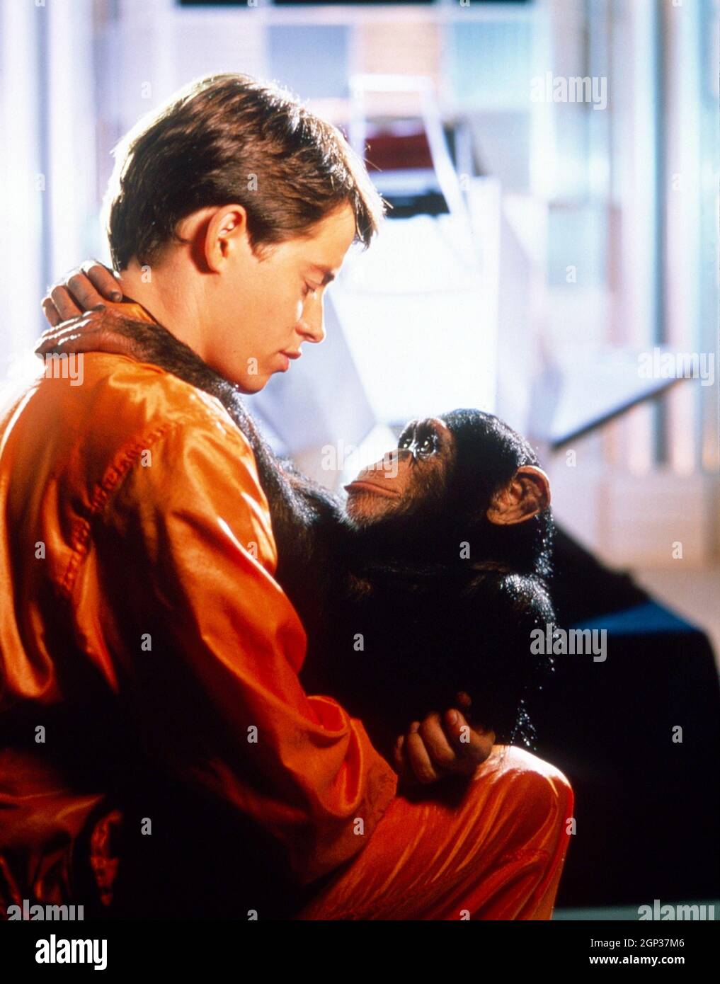 PROJECT X, Matthew Broderick, 1987. ph: TM & Copyright © 20th Century ...