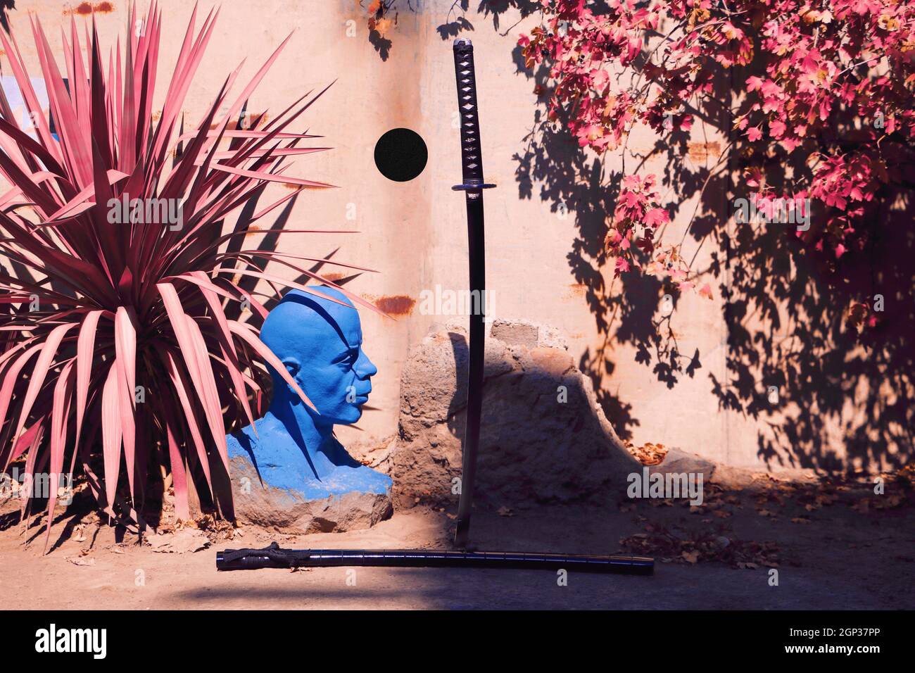 Abstract shot of a Japanese katana sword stuck in the ground with its ...