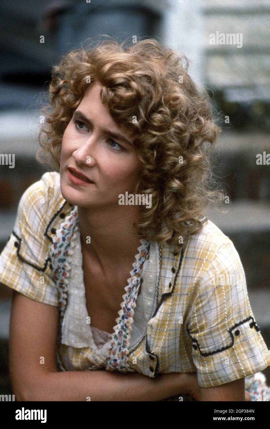 Laura Dern Rambling Rose