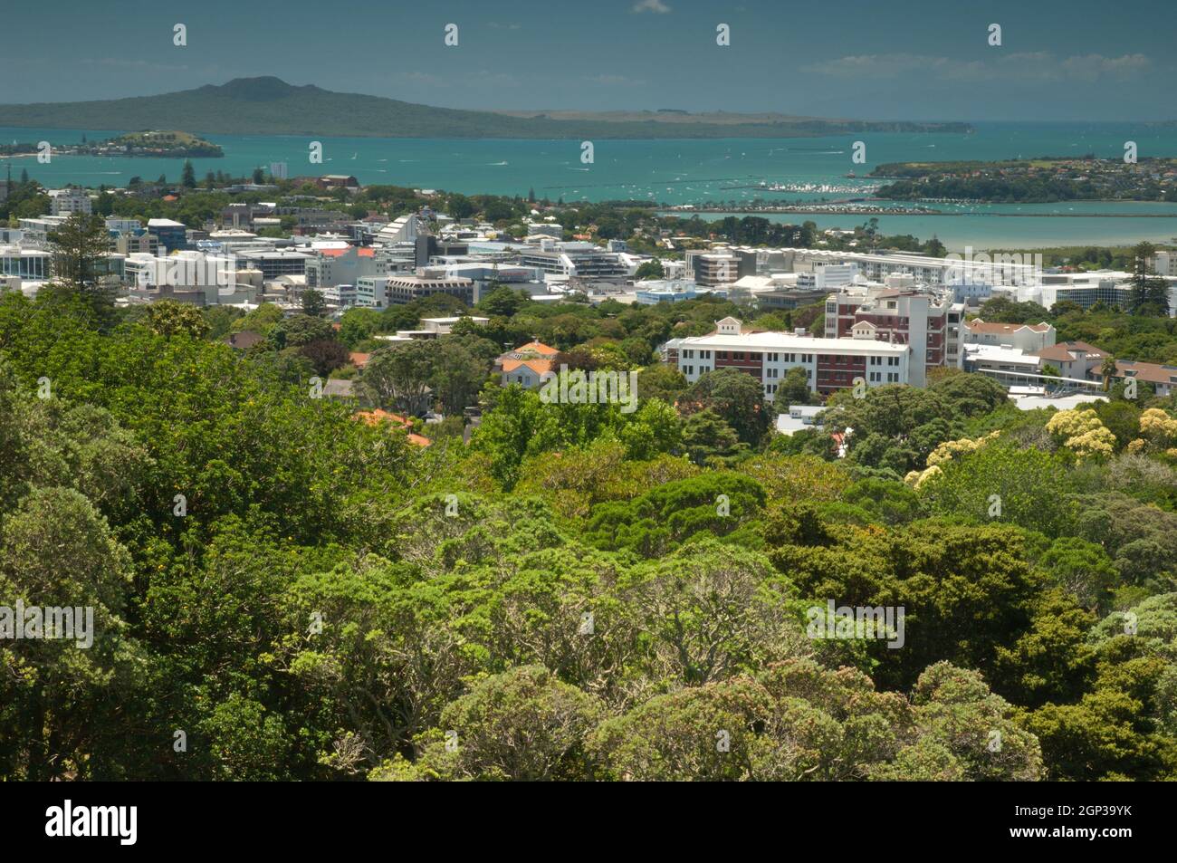 Part of the city of Auckland from Mount Eden. North Island. New Zealand ...