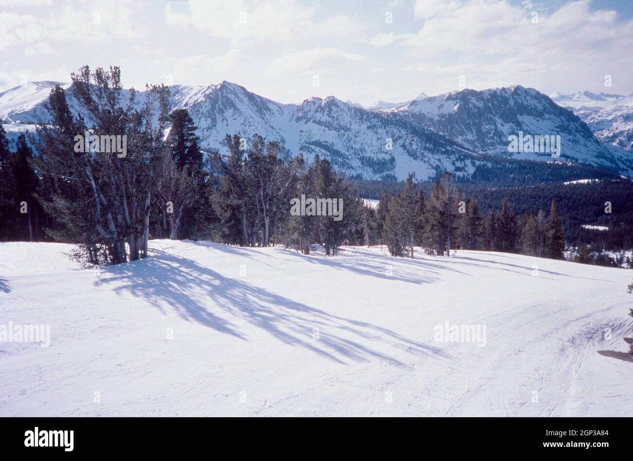 SILENT HUNTER, 1995. ph: Alan Dockery / © New Line Cinema / courtesy ...