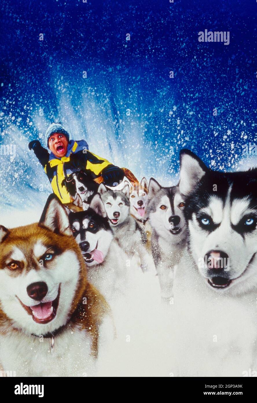 Scenes From The Movie Snow Dogs