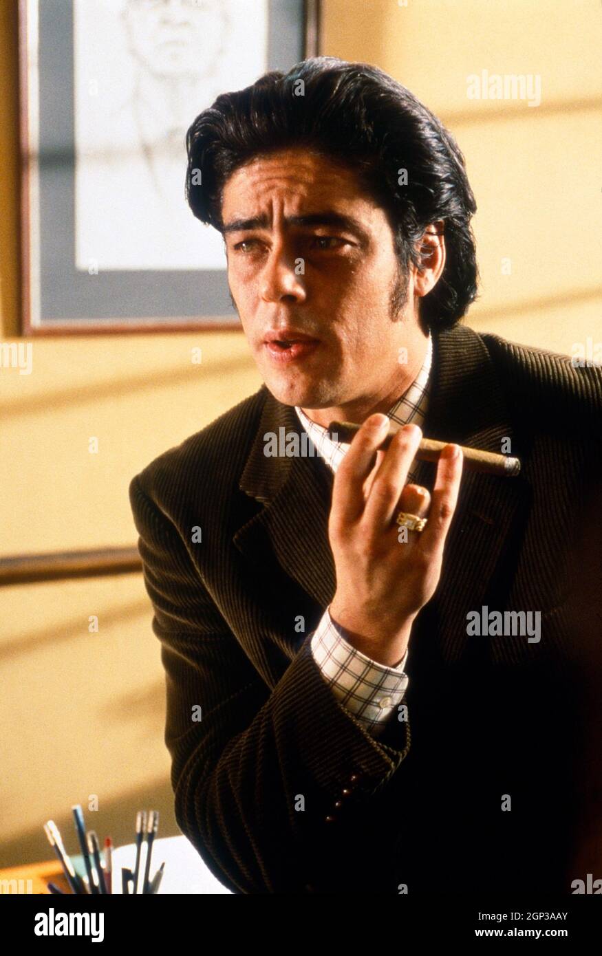 Benicio Del Toro Brad Pitt