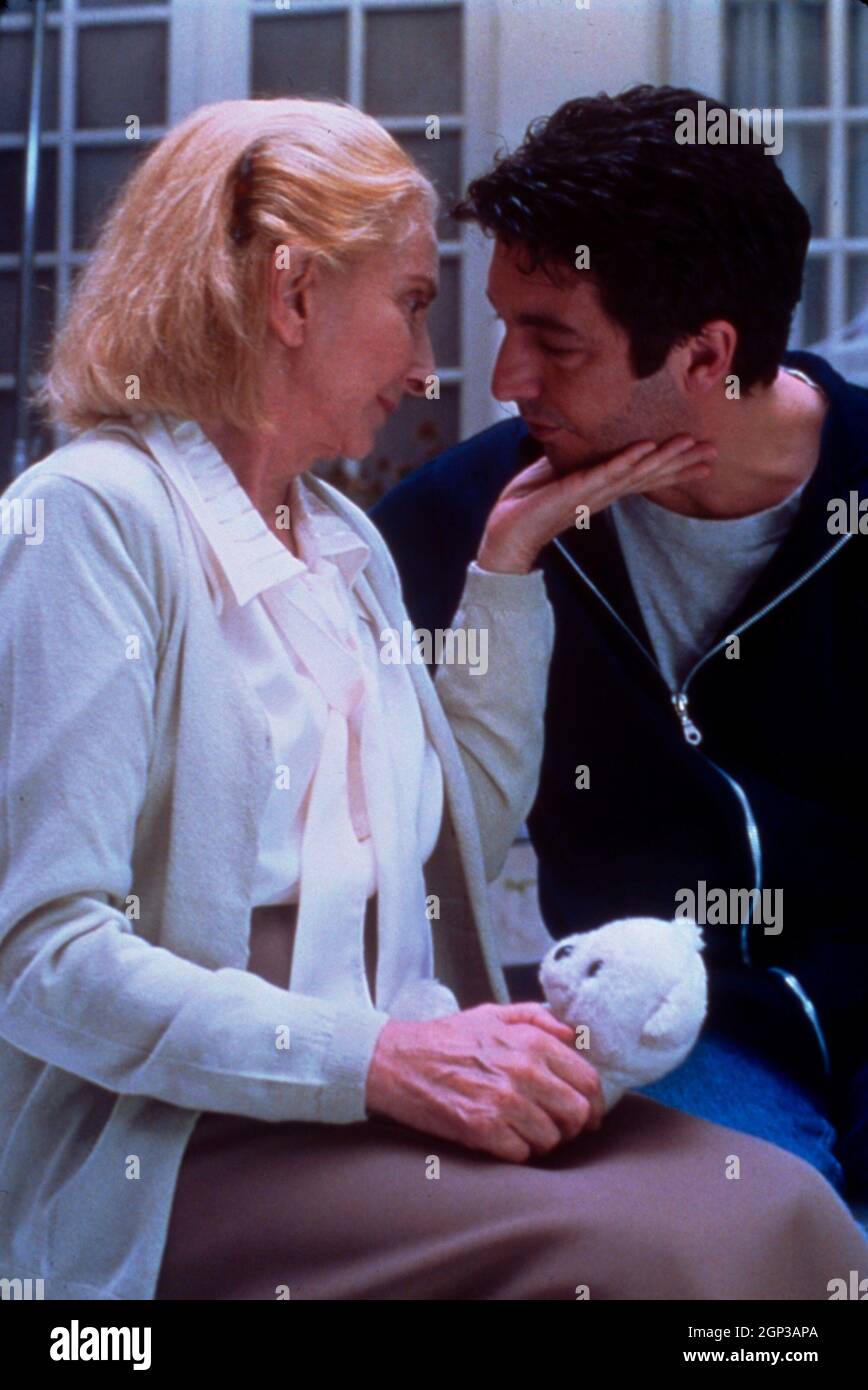 SON OF THE BRIDE, (aka EL HIJO DE LA NOVIA), from left: Norma Aleandro ...