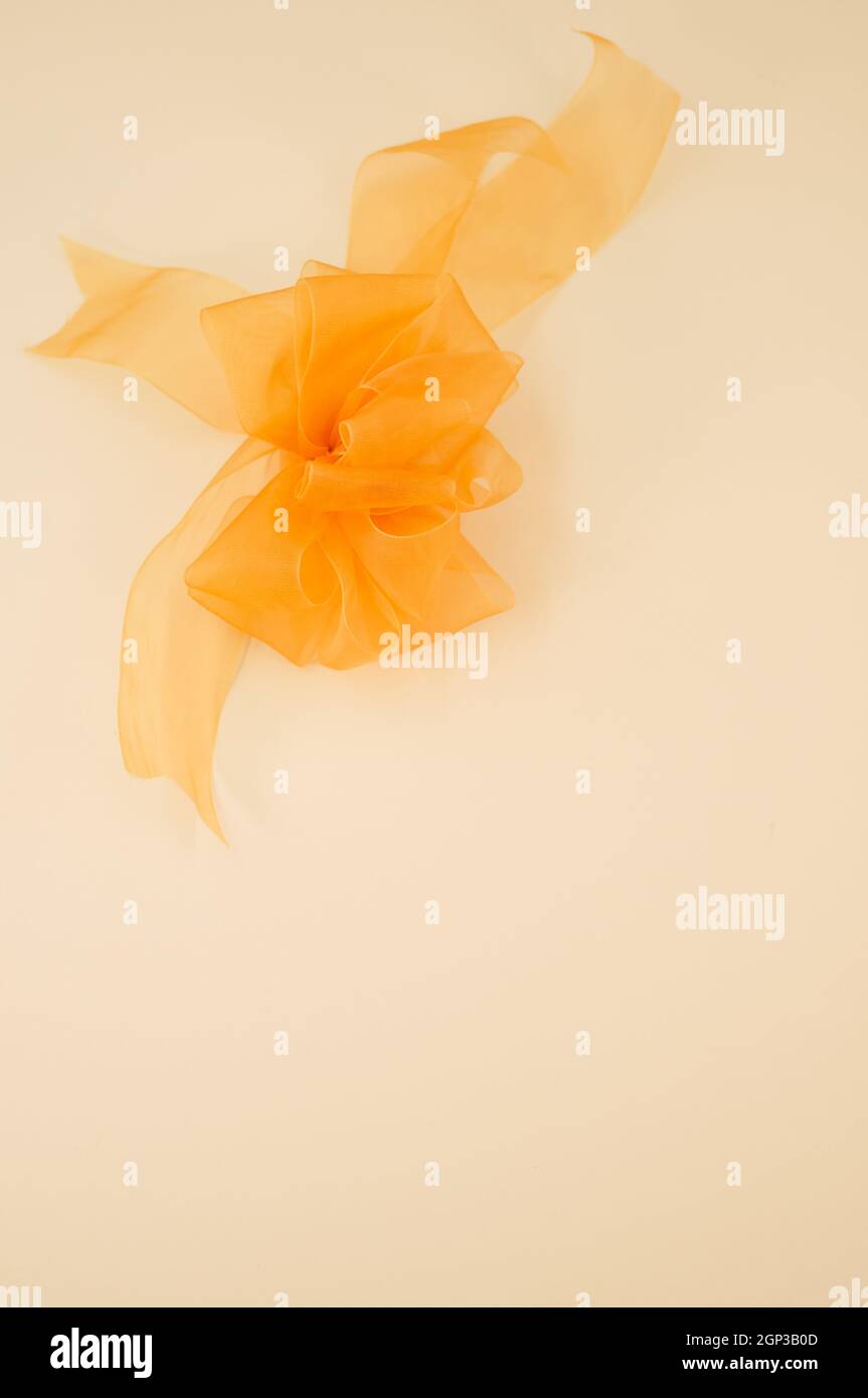 Organza ribbon hi-res stock photography and images - Alamy