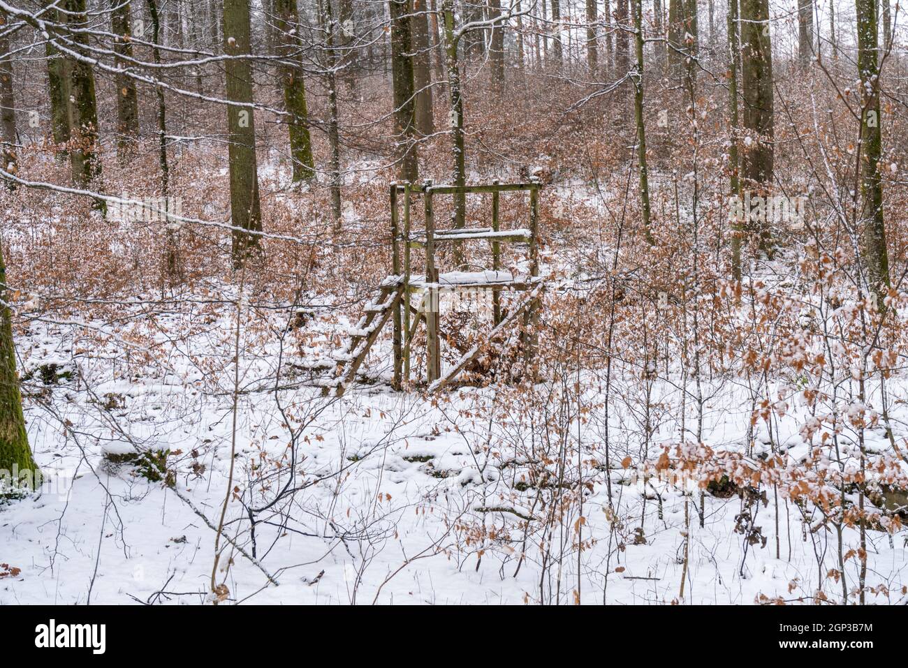 Hunter's stand in the winter forest. The hunter's stand is about 1m ...