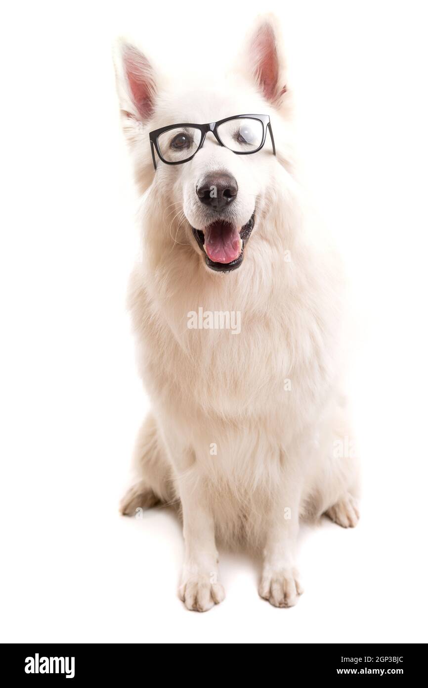 Swiss police Cut Out Stock Images & Pictures - Alamy