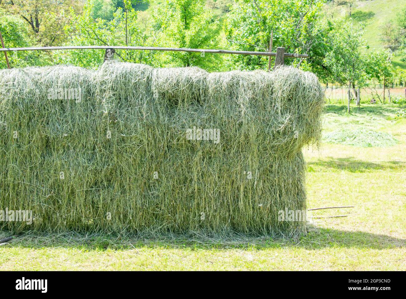 Haystack, a bale of hay group. Agriculture farm and farming symbol of ...