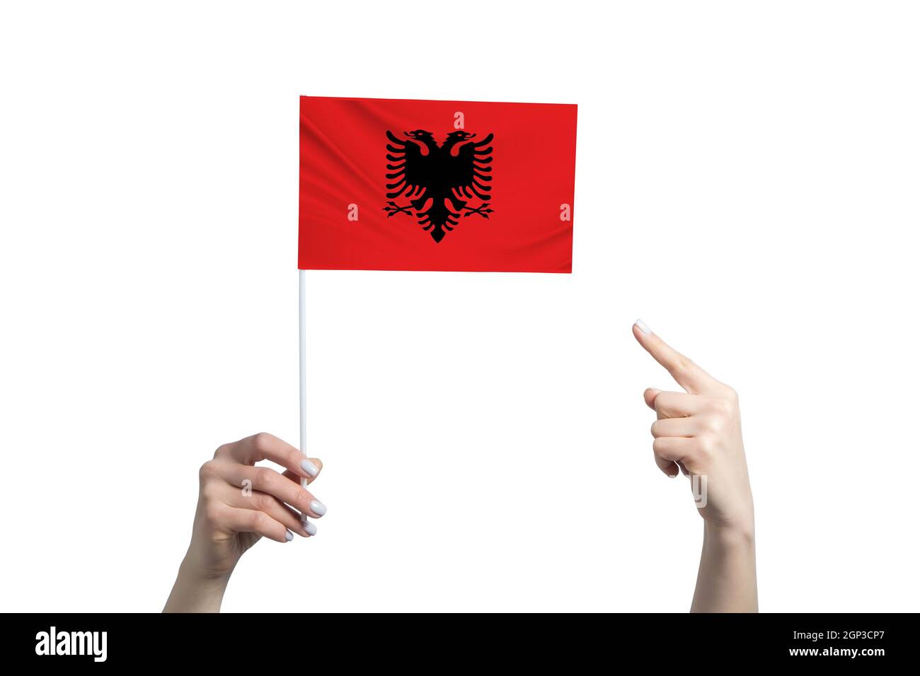 A beautiful female hand holds a Albania flag to which she shows the ...