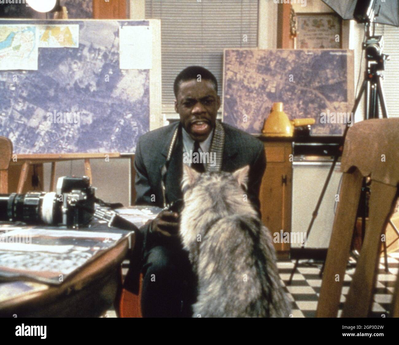 THAT DARN CAT, Doug E. Doug with Elvis the cat, on set, 1997. ©Buena ...