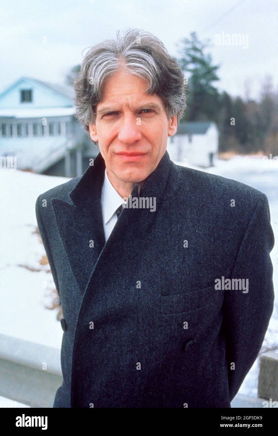 TO DIE FOR, David Cronenberg, 1995. ph: © Columbia Pictures / courtesy ...