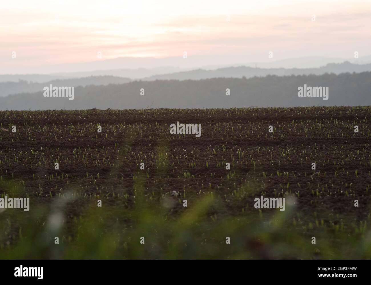 Seedbed preparation on field hi-res stock photography and images - Alamy
